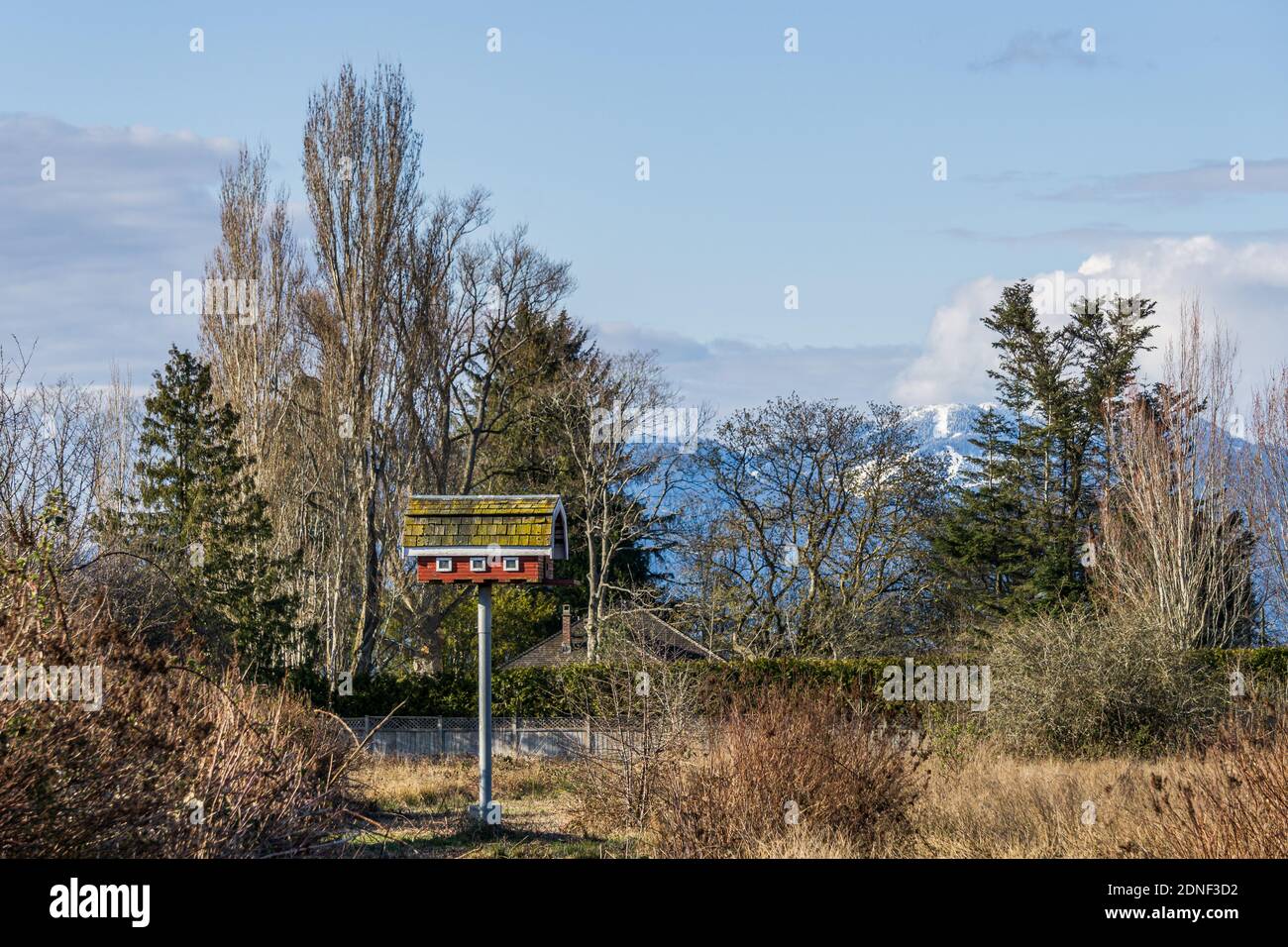 Owl house garden hi-res stock photography and images - Alamy