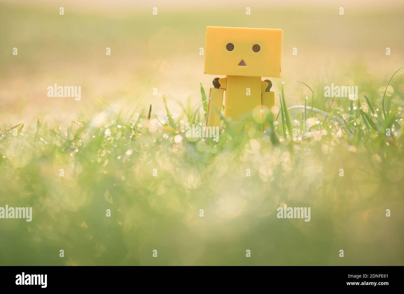 Danboard hi-res stock photography and images - Alamy