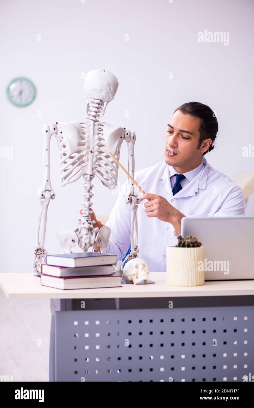 Young doctor studying human skeleton Stock Photo - Alamy