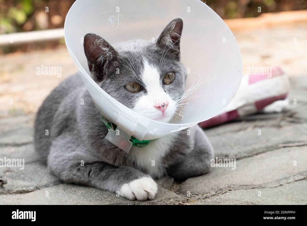 Wearing a cast hi-res stock photography and images - Alamy