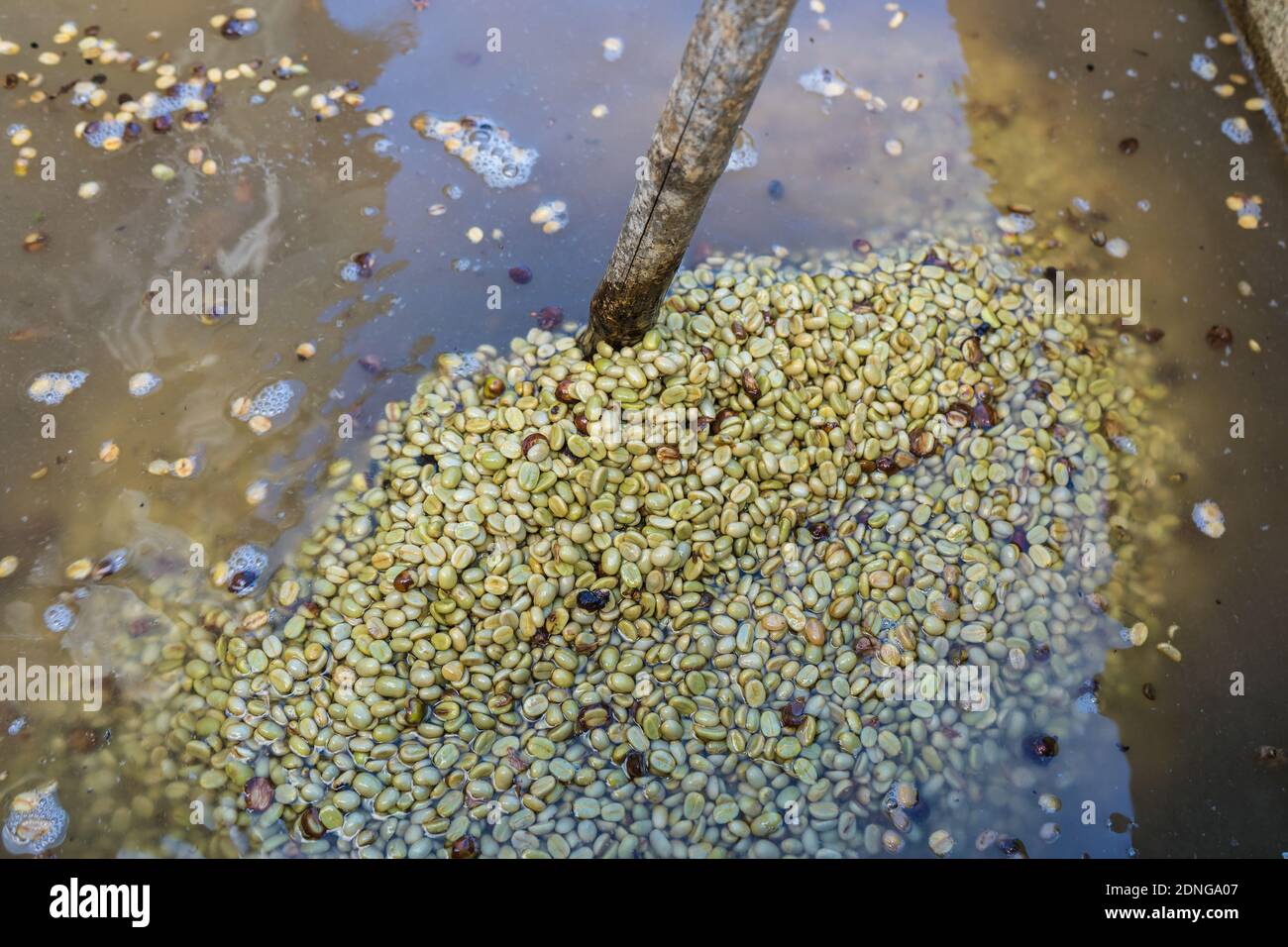 Wet method coffee hi-res stock photography and images - Alamy