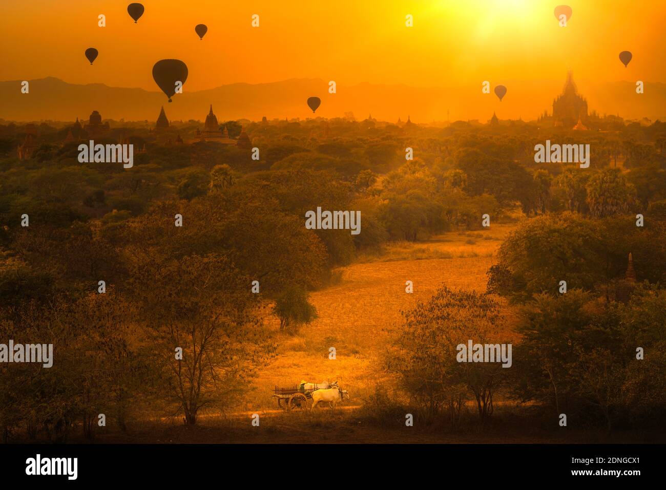 Flying cow hot air balloon hi-res stock photography and images - Alamy