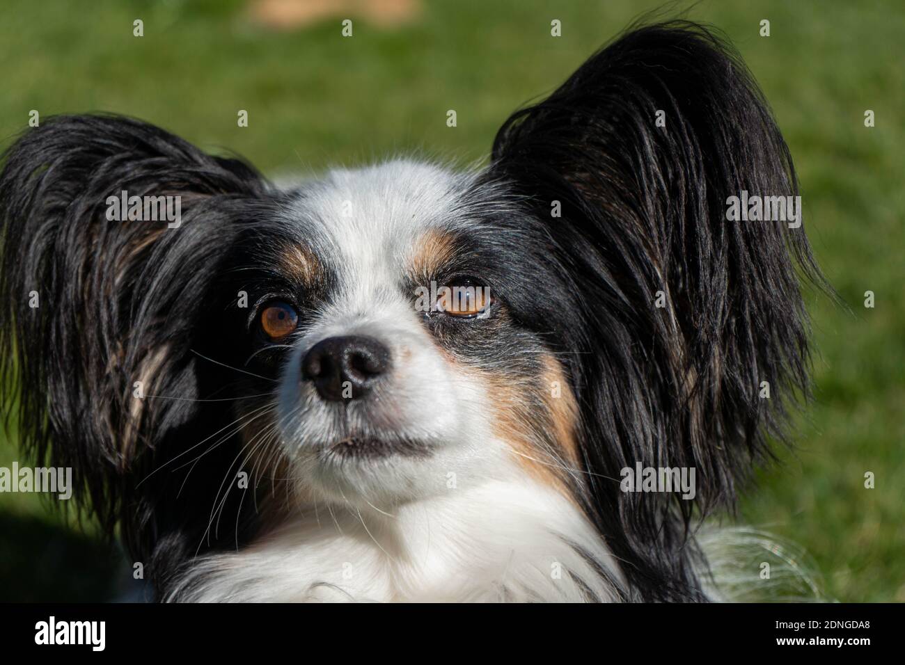 Kooper hi-res stock photography and images - Alamy