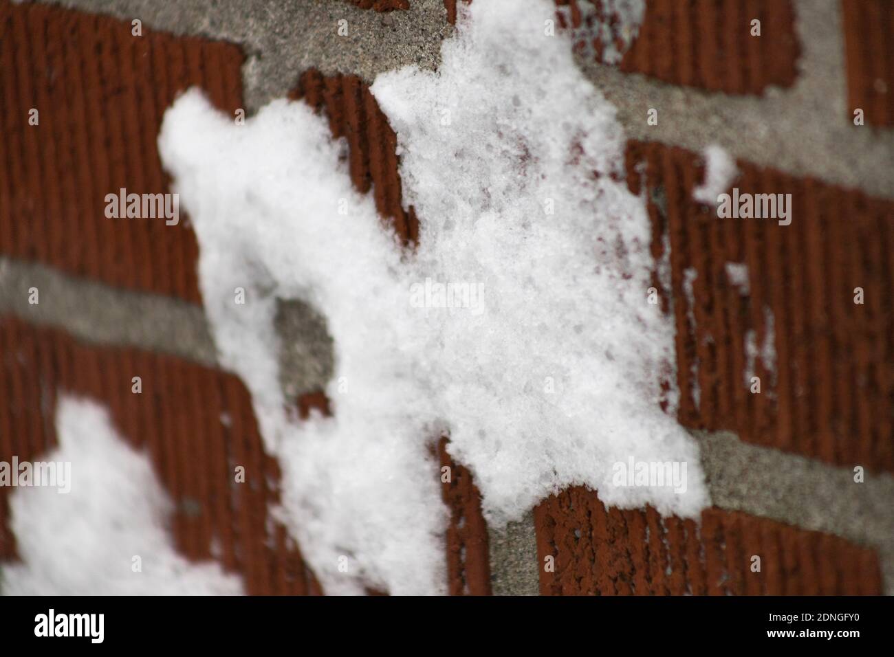 Snow sticks to textured red bricks on the side of a Bronx building ...