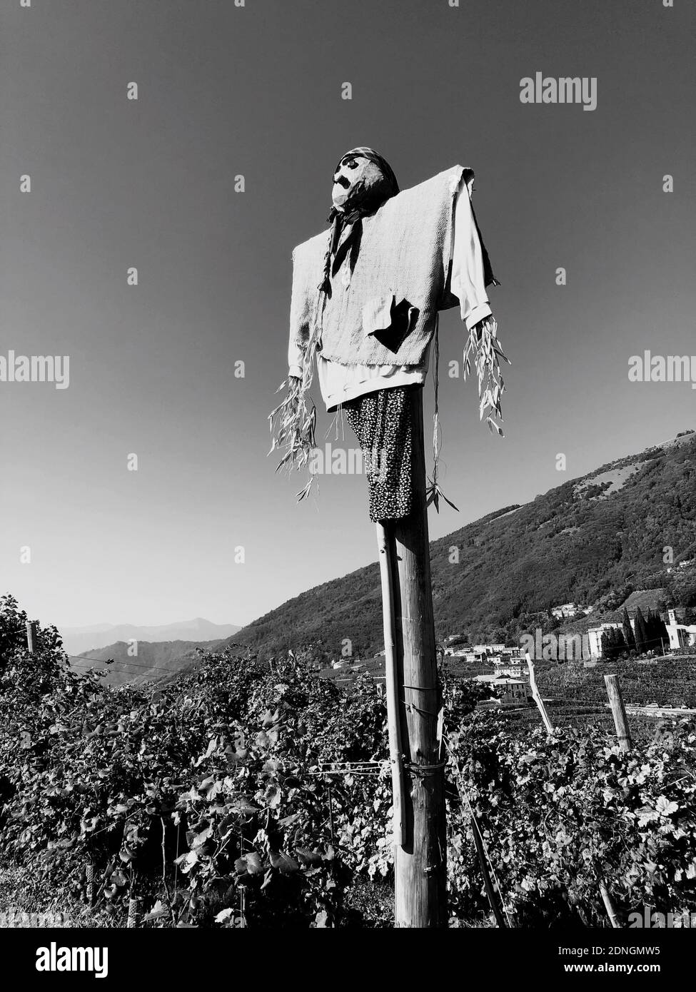 Real Scarecrow High Resolution Stock Photography and Images - Alamy