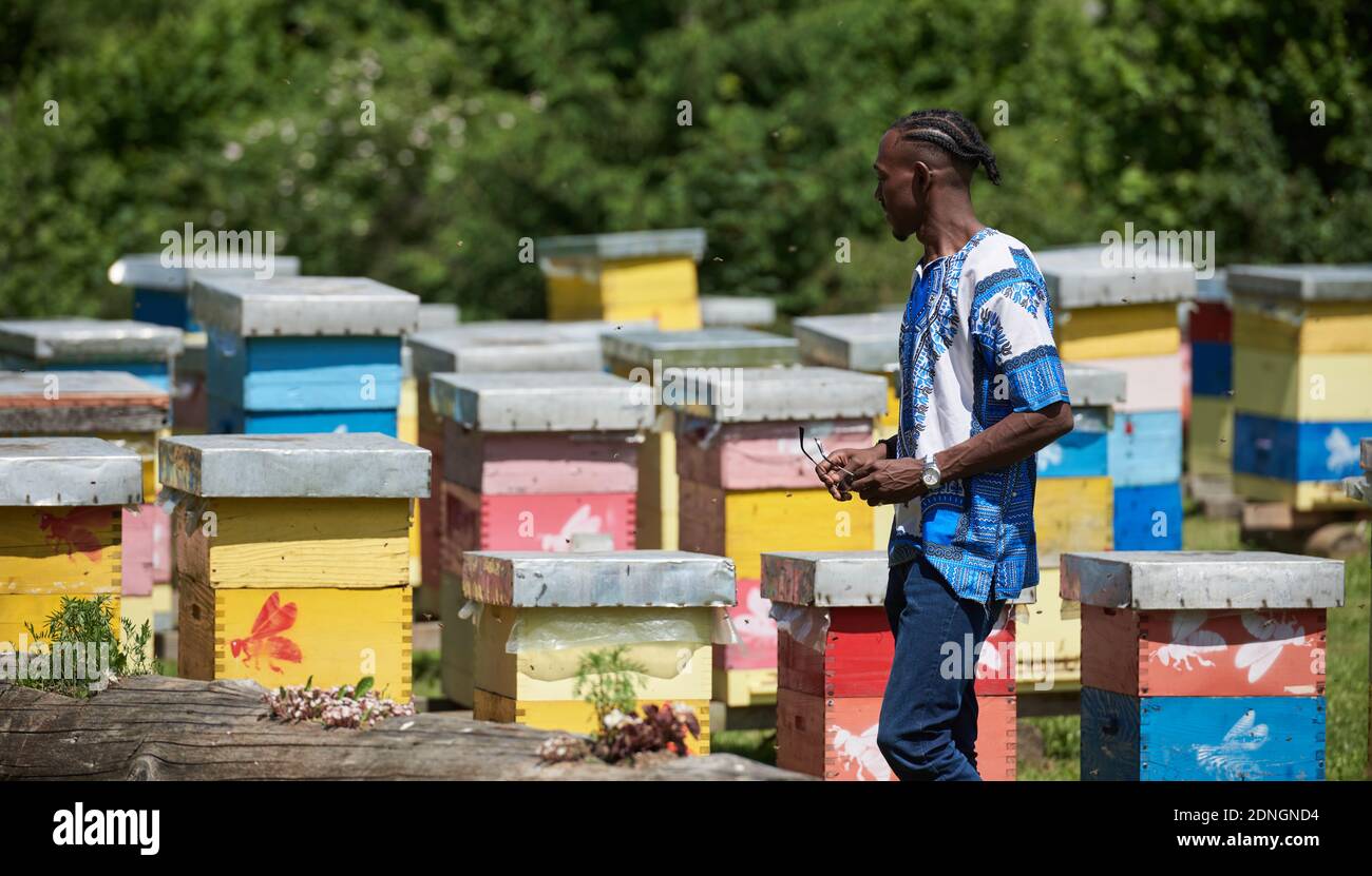 african beekeeper local black honey producer Stock Photo - Alamy