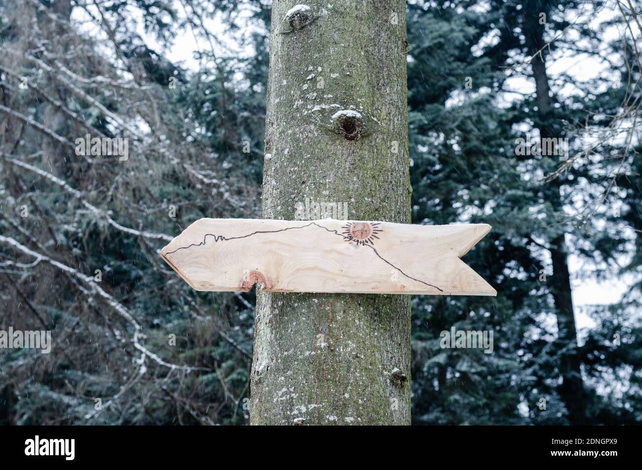 Fir wood arrow sign hanging on a tree Stock Photo - Alamy