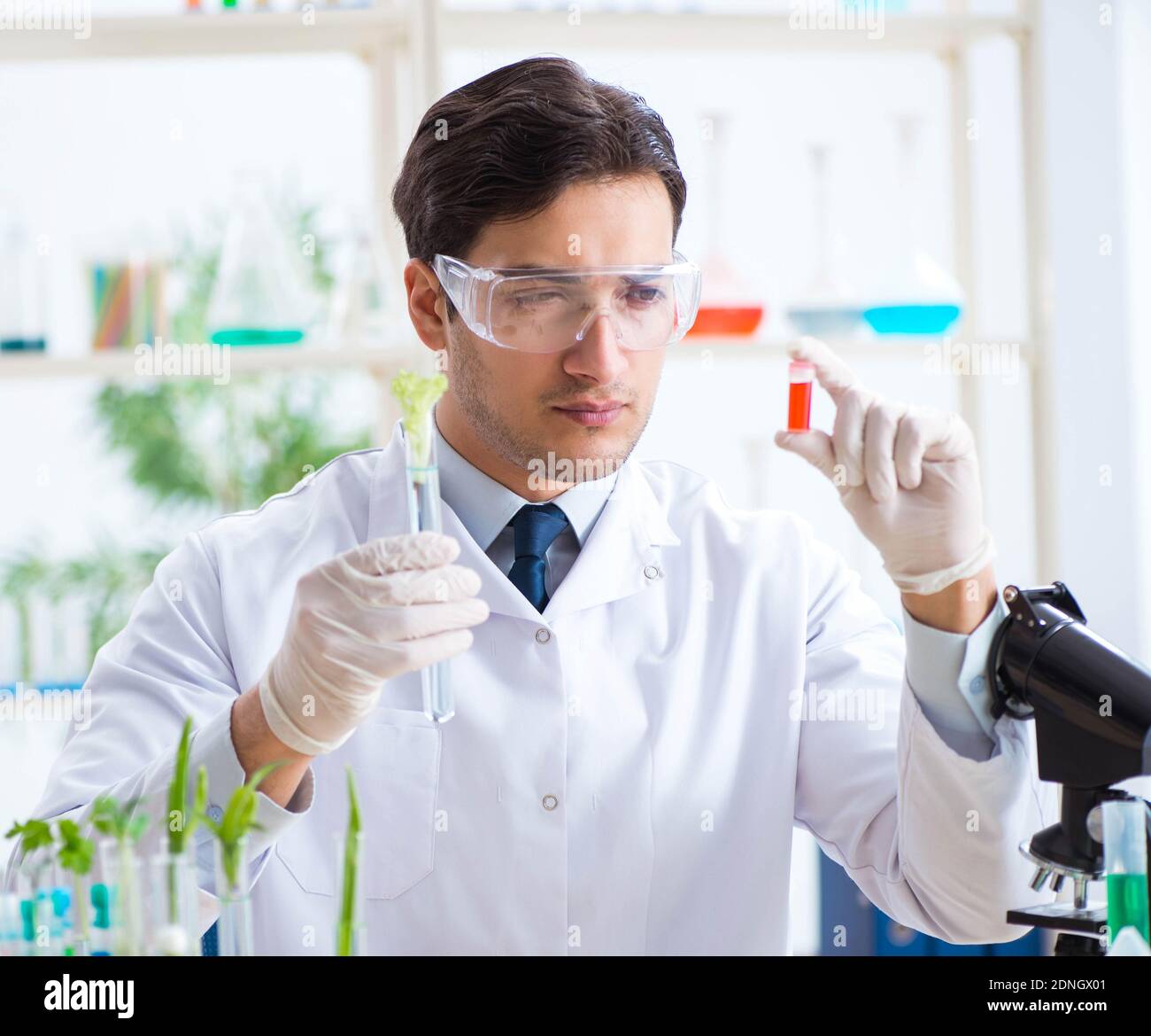 The male biochemist working in the lab on plants Stock Photo - Alamy