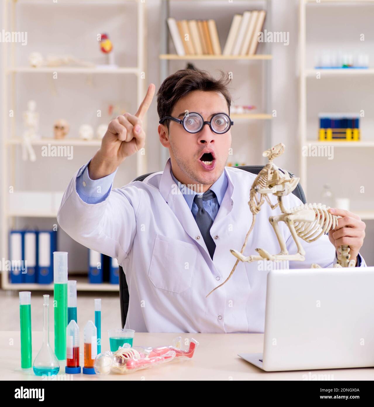 The funny scientist with cat skeleton in lab clinic Stock Photo - Alamy
