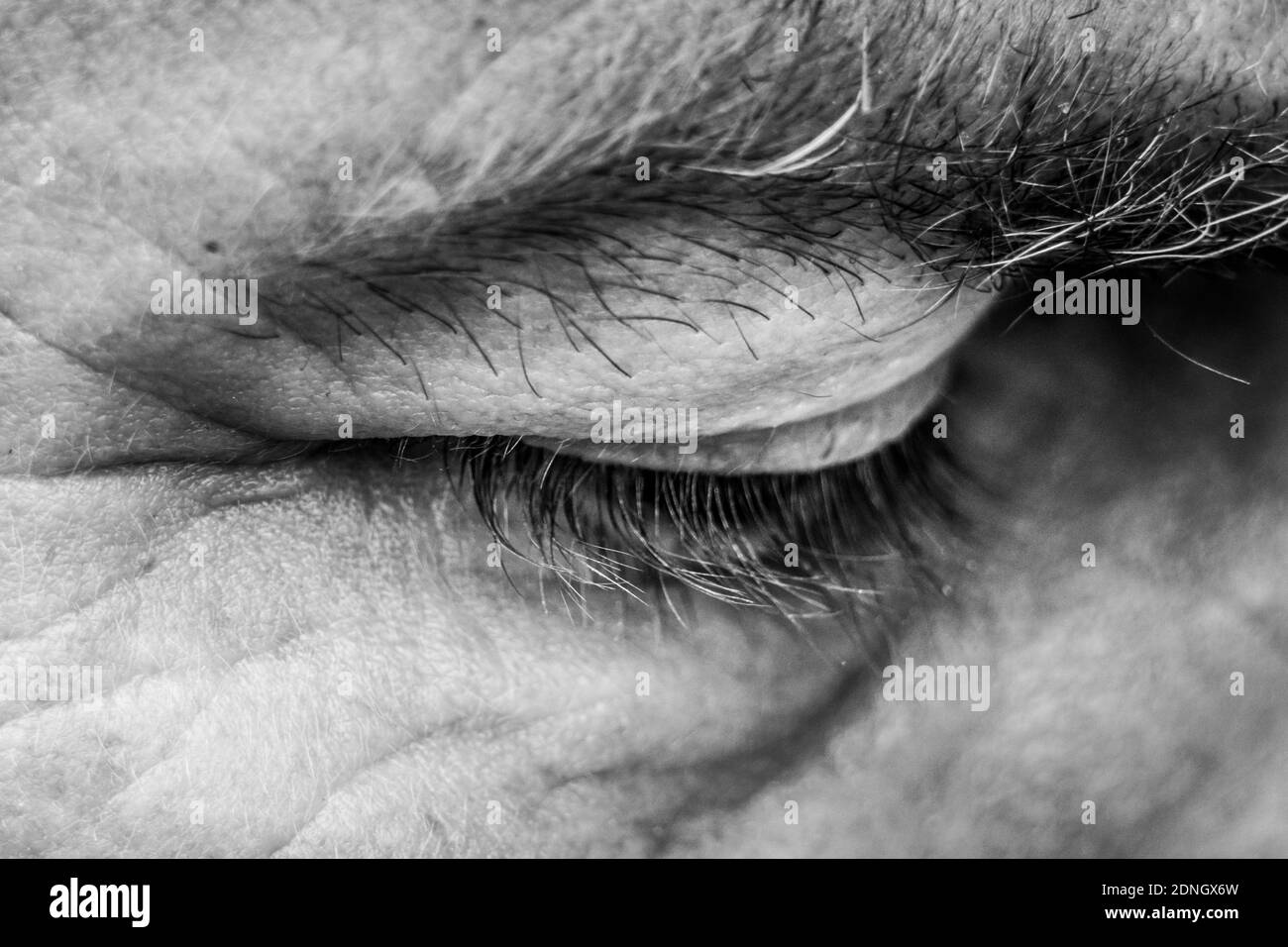 Old person eye close up Black and White Stock Photos & Images - Alamy