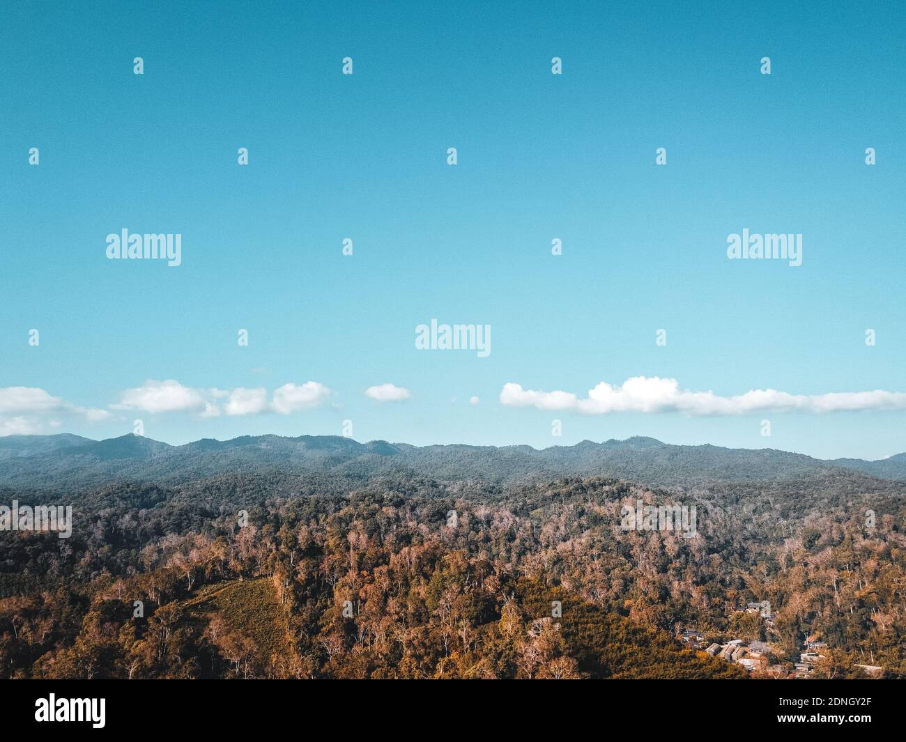 On the hill,Mountain forest view in the evening Stock Photo - Alamy