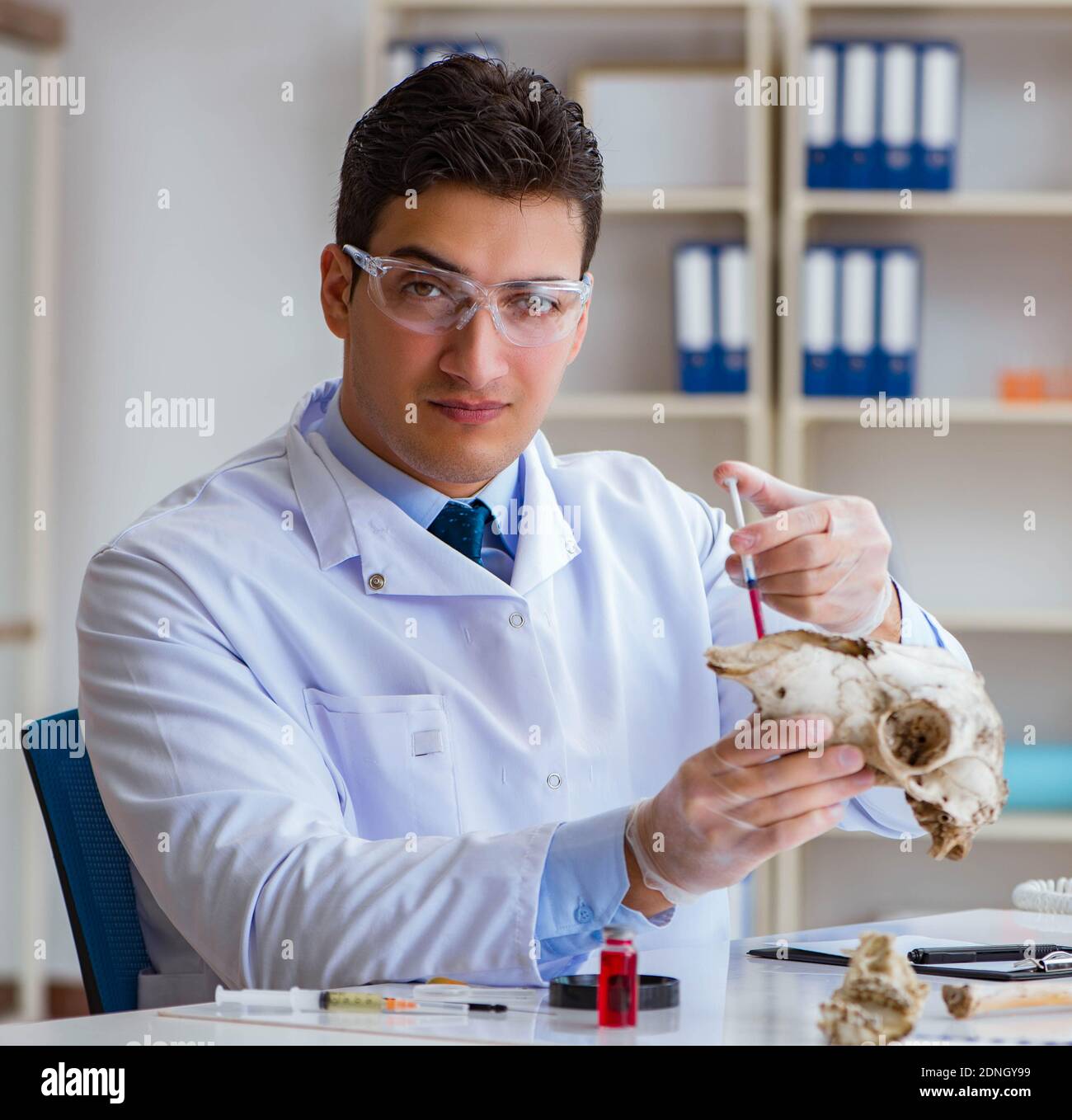 The paleontologist looking at extinct animal bone Stock Photo - Alamy