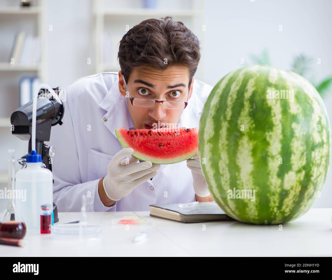 The scientist testing watermelon in lab Stock Photo - Alamy