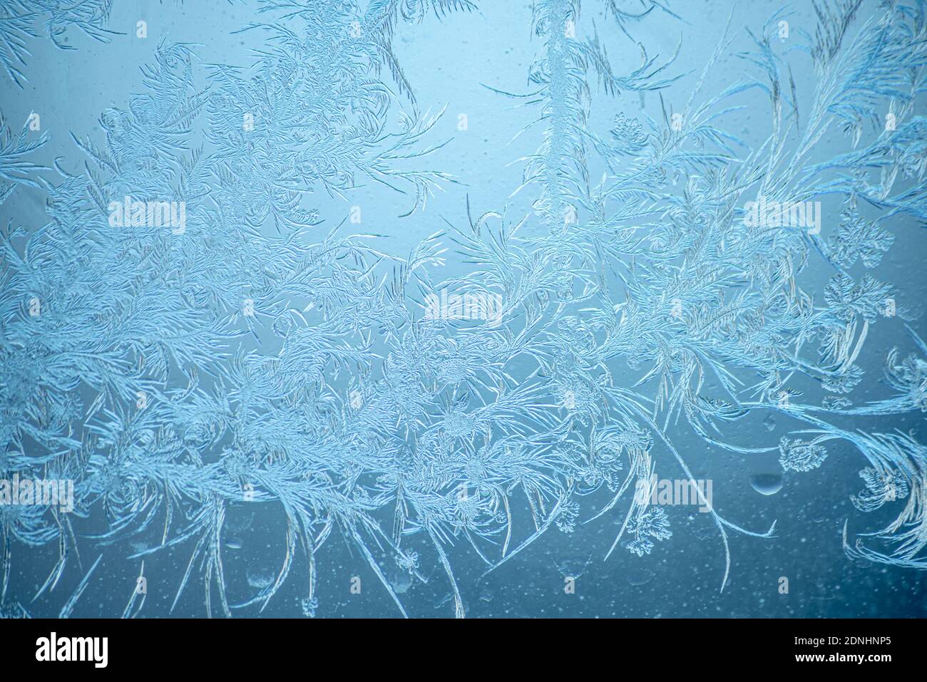 Beautiful sparkling natural frost pattern on the blue window glass ...
