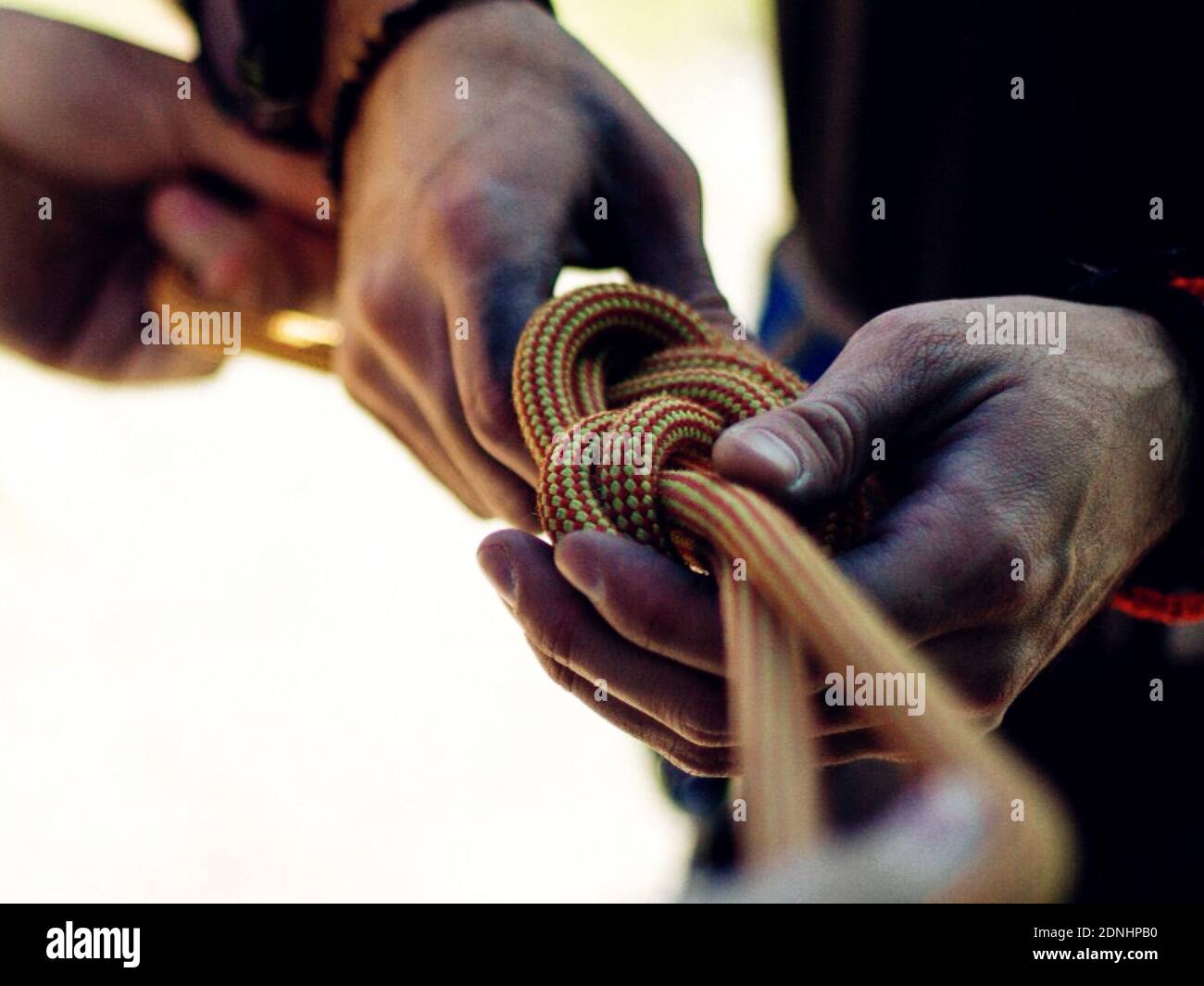 Knotted limb hi-res stock photography and images - Alamy