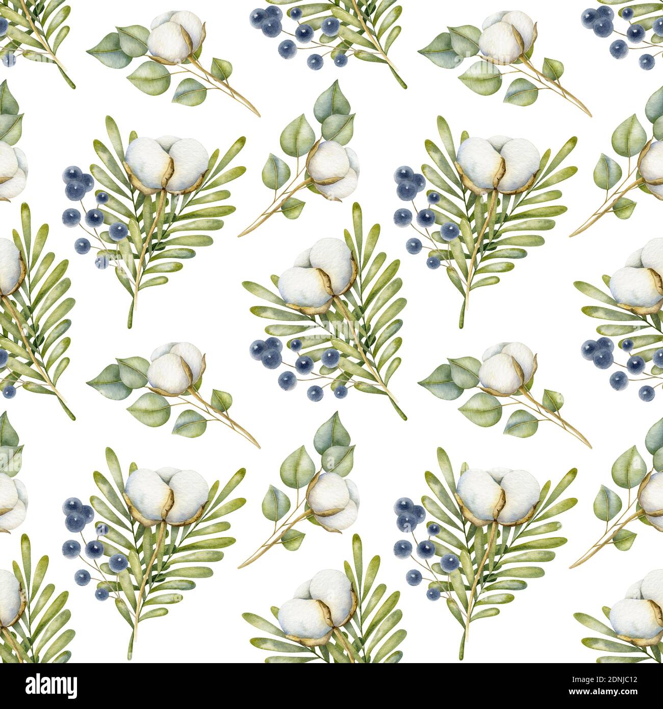 Cotton plant botanical drawing hi-res stock photography and images - Alamy