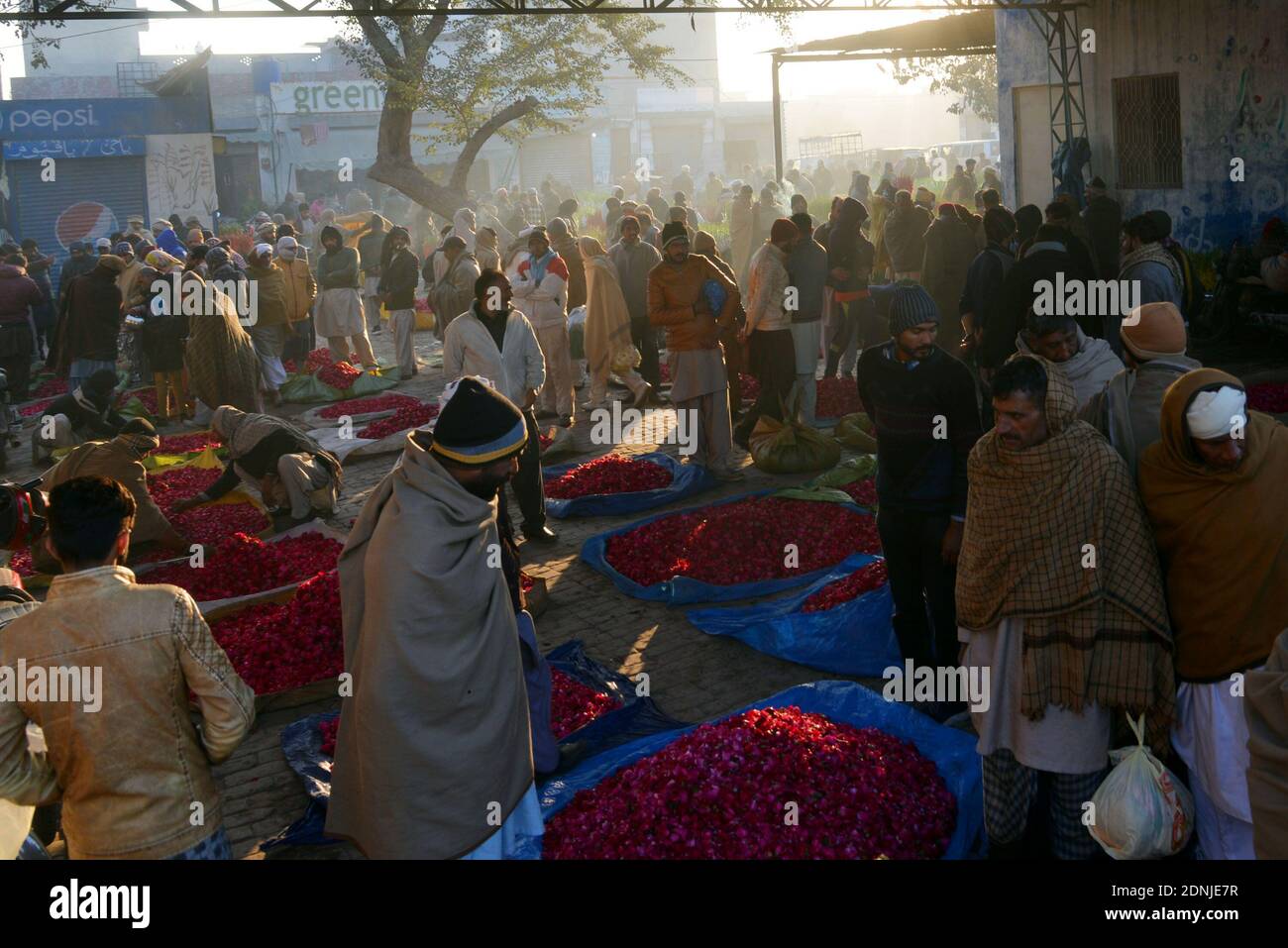 Pakistani christian woman is busy in decorating the St. Anthony's ...