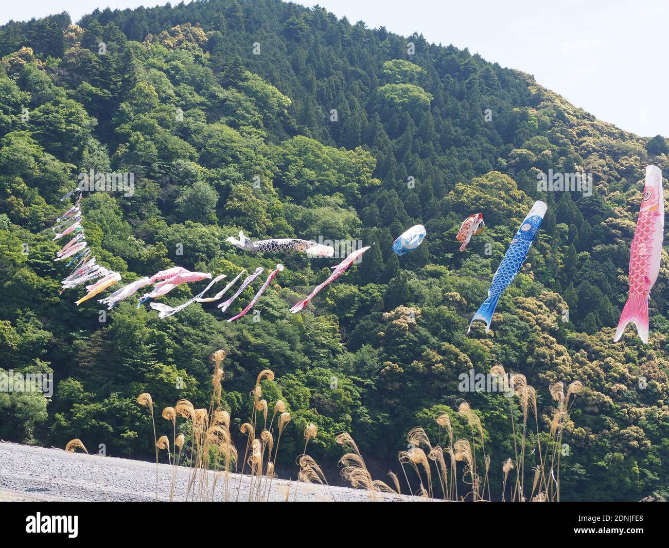 Japanese fish flags hi-res stock photography and images - Alamy