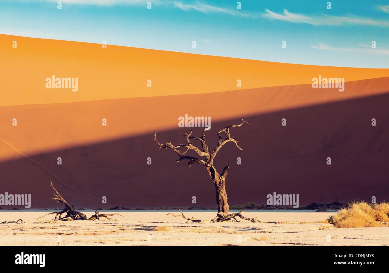 beautiful color palette of shadows in hidden Dead Vlei landscape in ...
