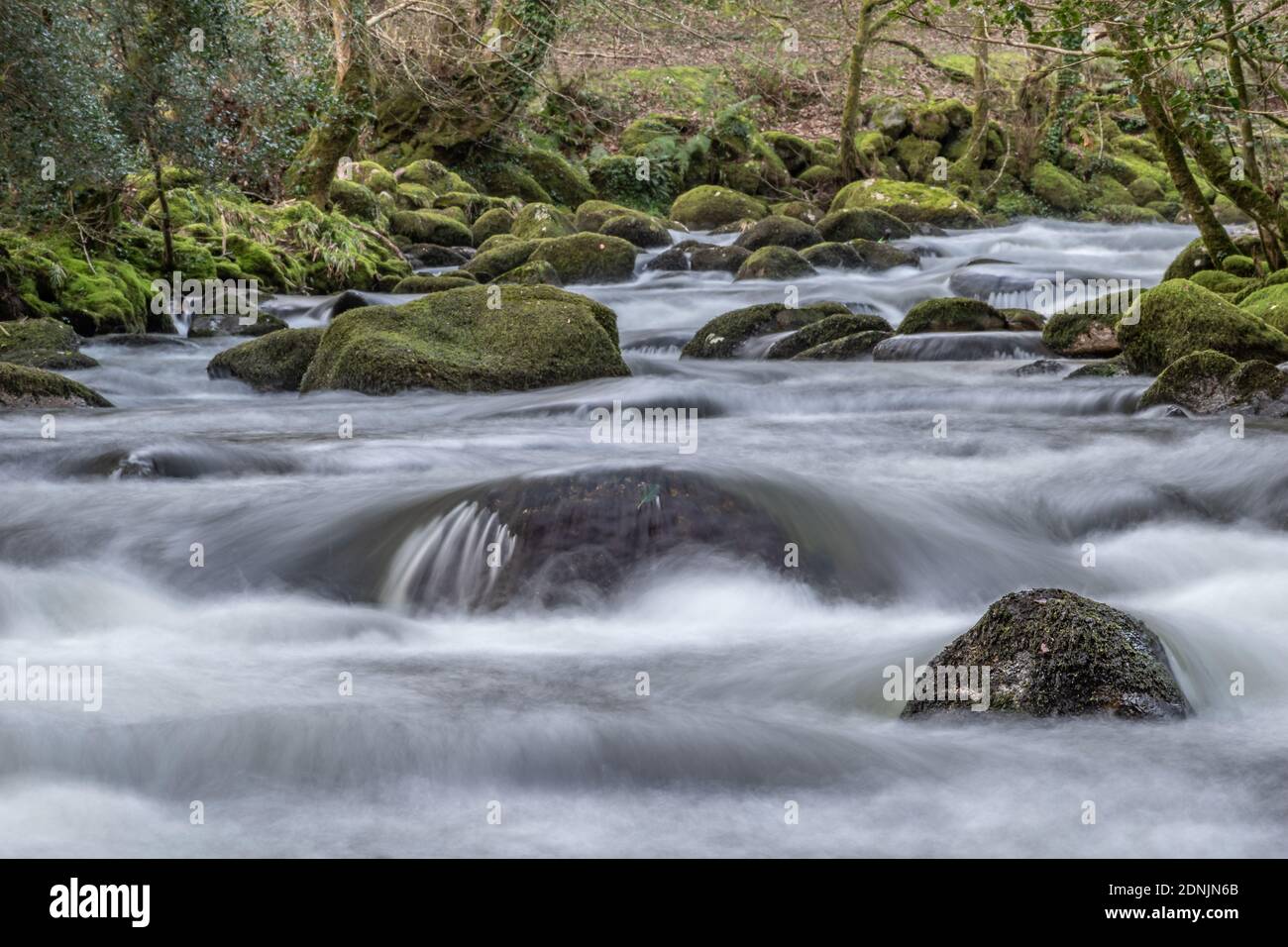 Shaugh prior river hi-res stock photography and images - Alamy