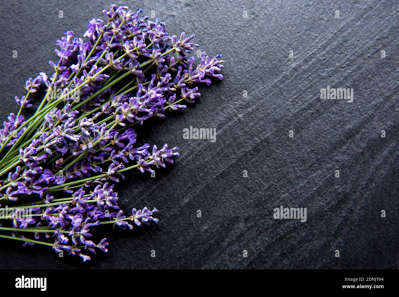 Fresh flowers of lavender bouquet, top view on black concrete ...