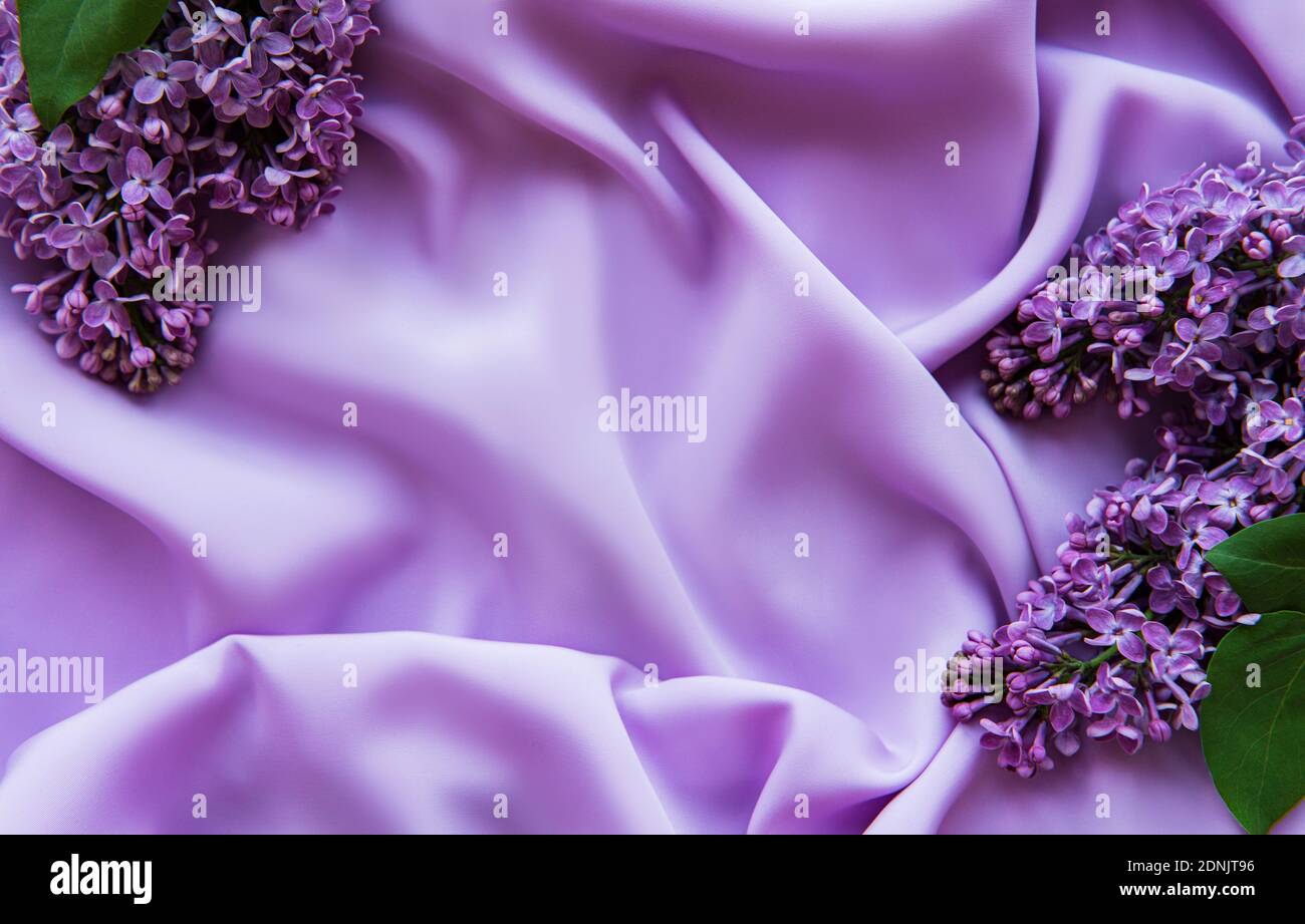 Beautiful spring flowering branch of lilac on a background of lilac ...