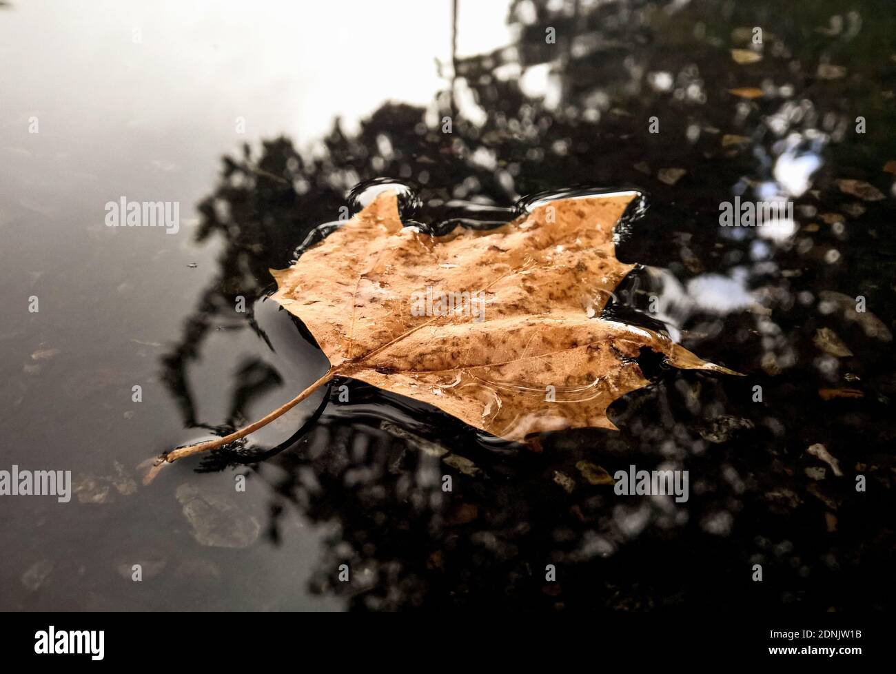 Albuquerque autumn fall hi-res stock photography and images - Alamy