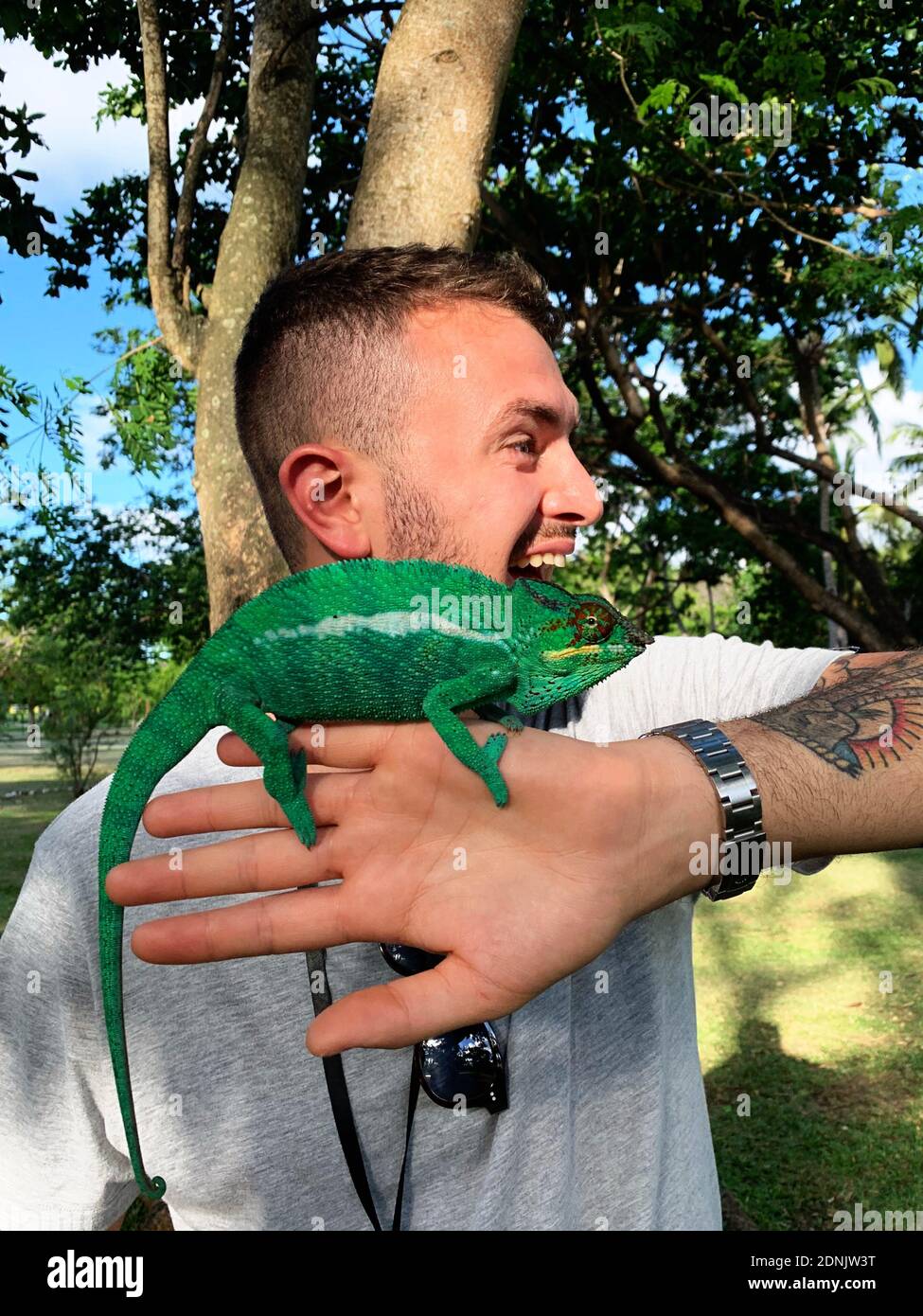 Madagascar chameleon person hi-res stock photography and images - Alamy