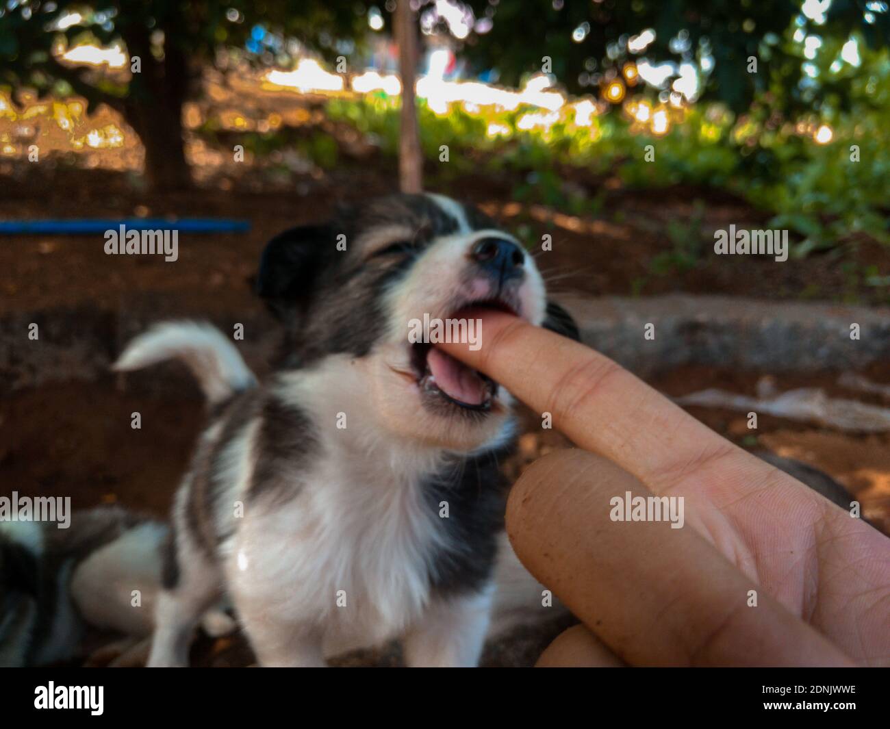 Biting tongue hi-res stock photography and images - Alamy