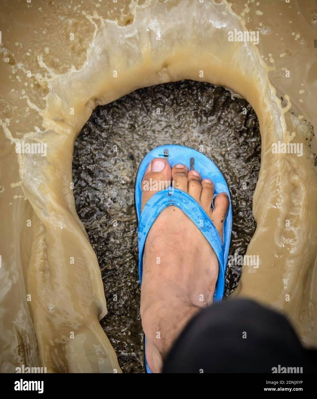 Stamping Its Feet High Resolution Stock Photography and Images - Alamy