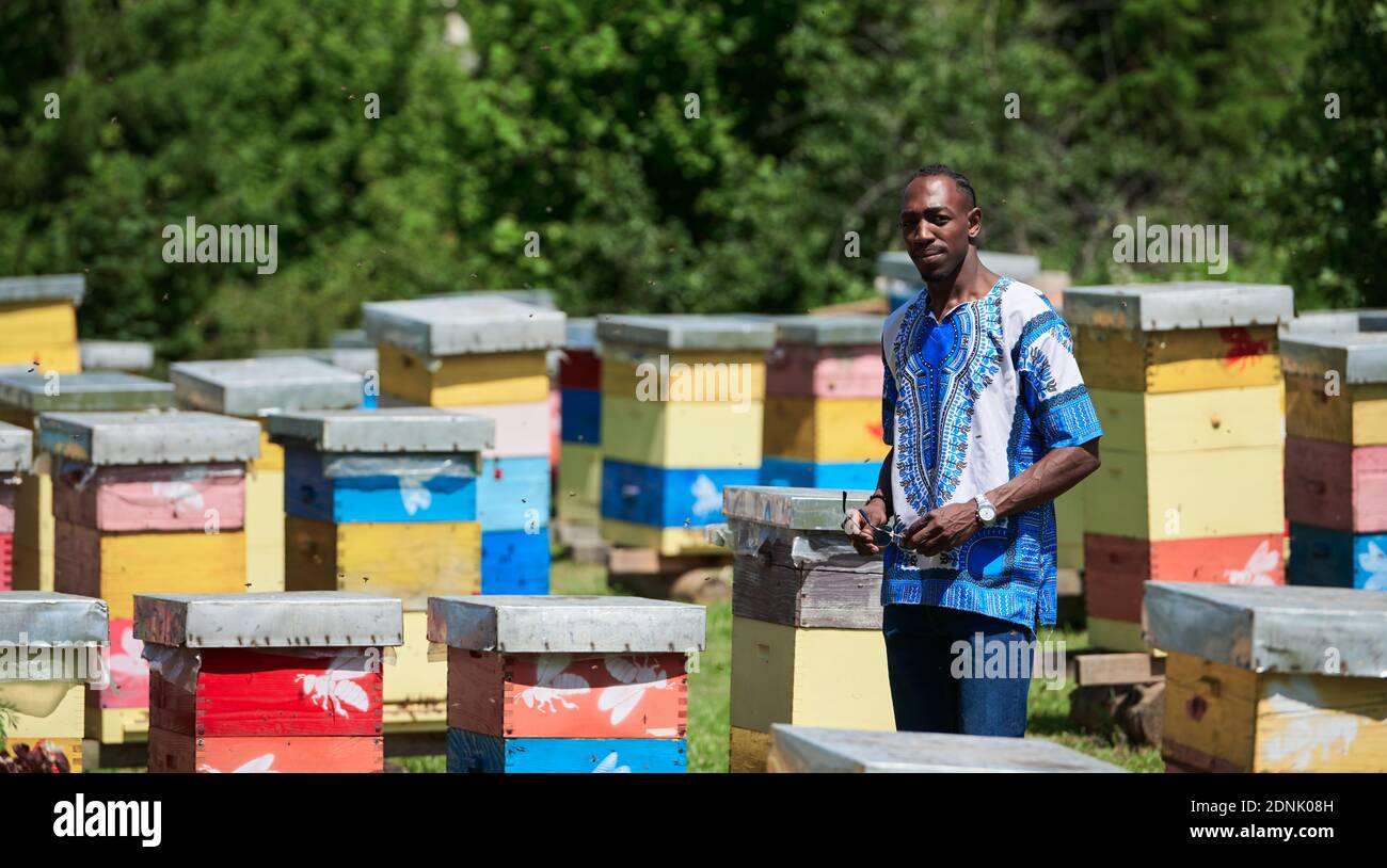 african beekeeper local black honey producer Stock Photo - Alamy