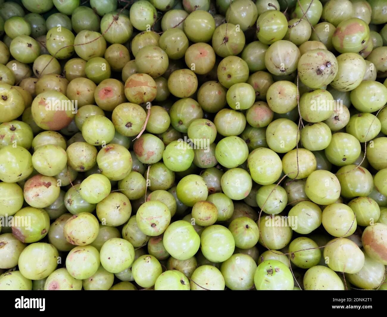 Nellikka hi-res stock photography and images - Alamy