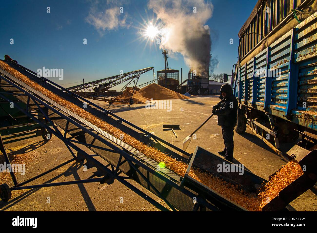 Big corn silos Stock Photo - Alamy