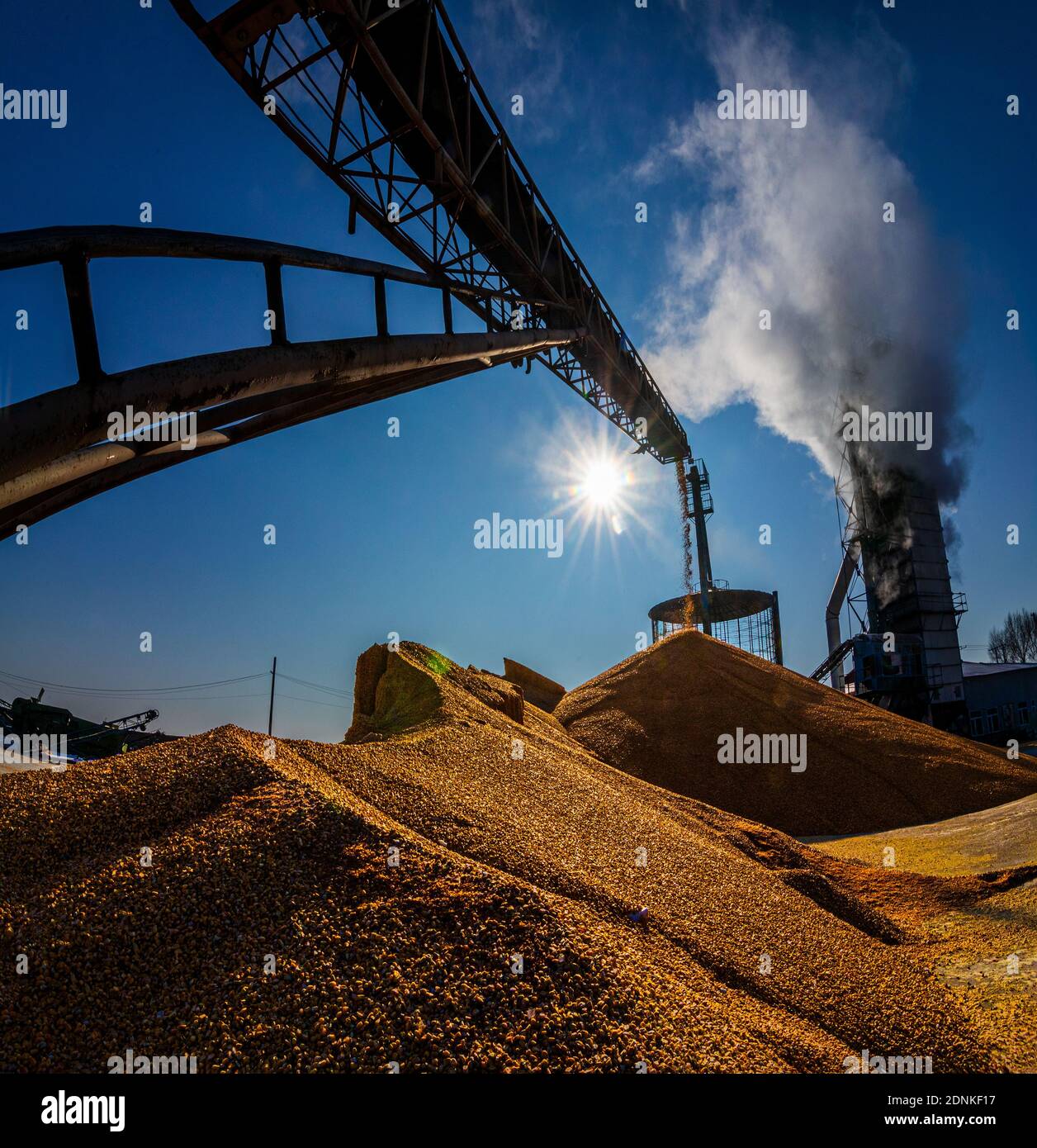 Big corn silos Stock Photo - Alamy