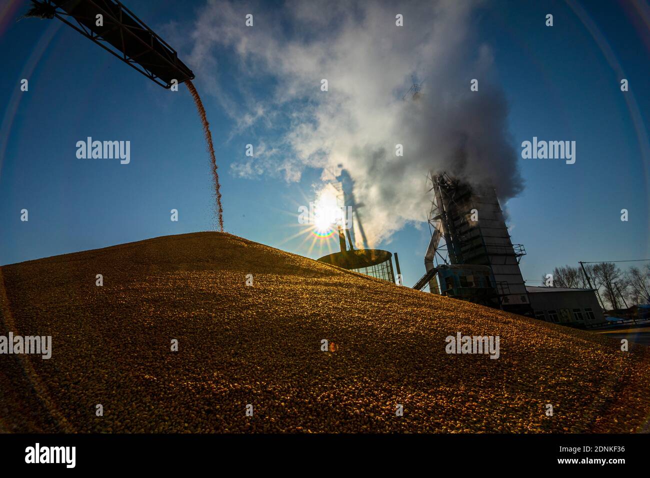 Big corn silos Stock Photo - Alamy
