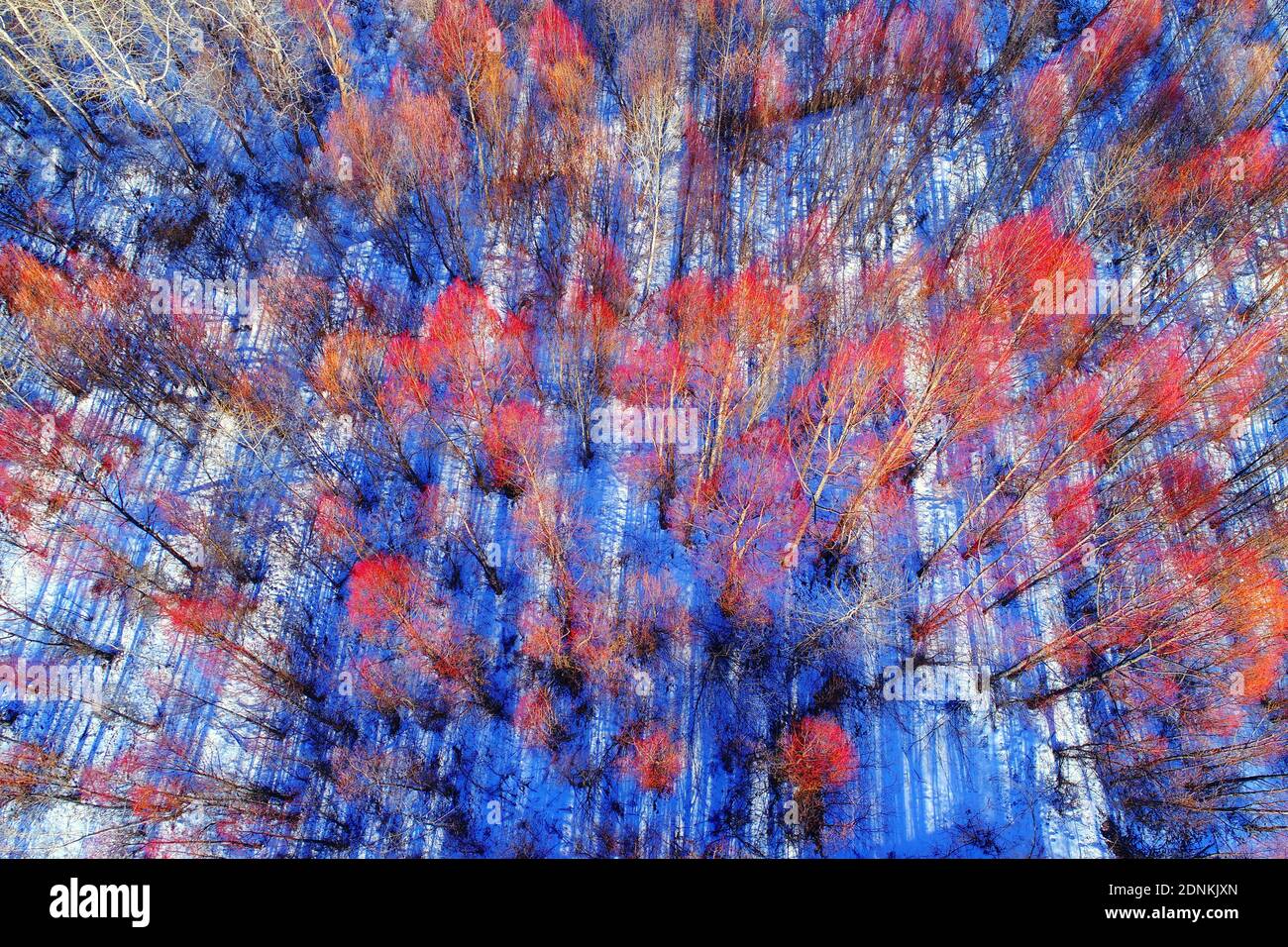 Aerial snow Philippine Stock Photo - Alamy