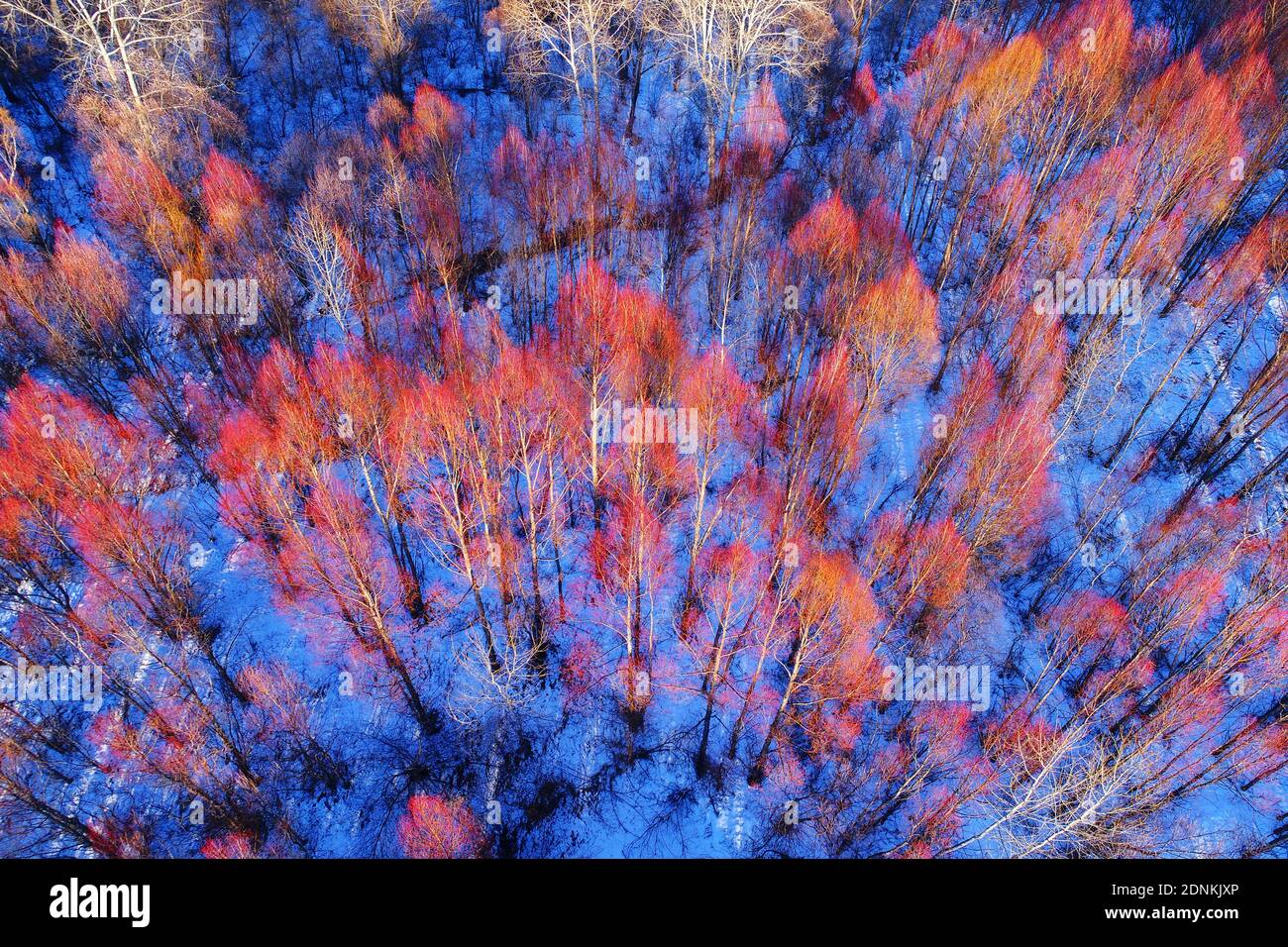 Aerial snow Philippine Stock Photo - Alamy