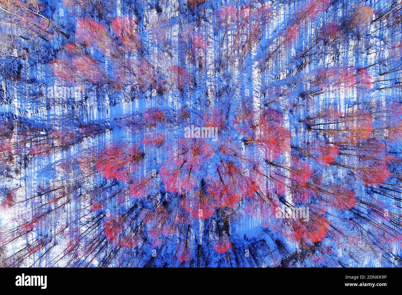 Aerial snow Philippine Stock Photo - Alamy