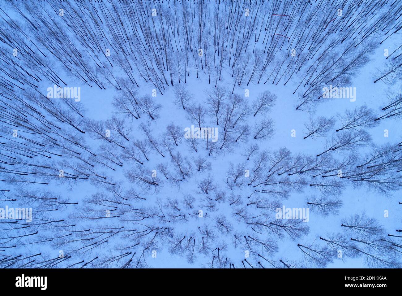 Aerial snow wash the woods Stock Photo - Alamy