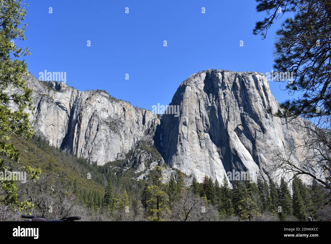 A mighty granite wall of El Capitan seen through trees in Yosemite ...
