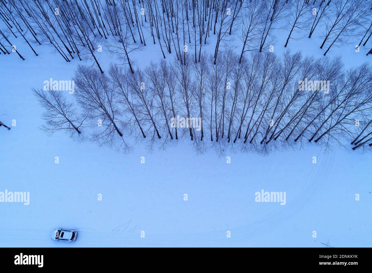 Aerial snow wash the woods Stock Photo - Alamy