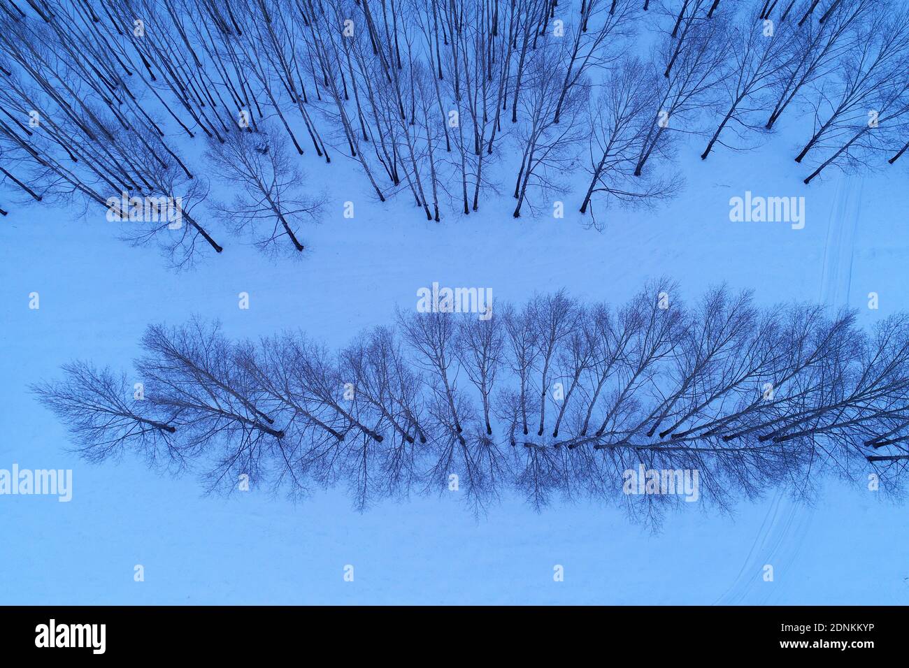Aerial snow wash the woods Stock Photo - Alamy