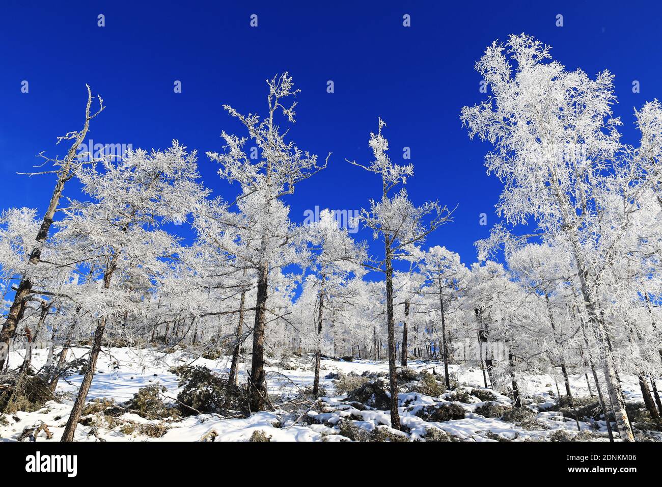 Lin rime hi-res stock photography and images - Alamy