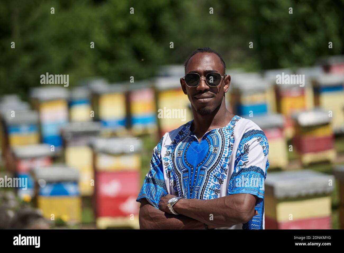 African honey farm hi-res stock photography and images - Alamy