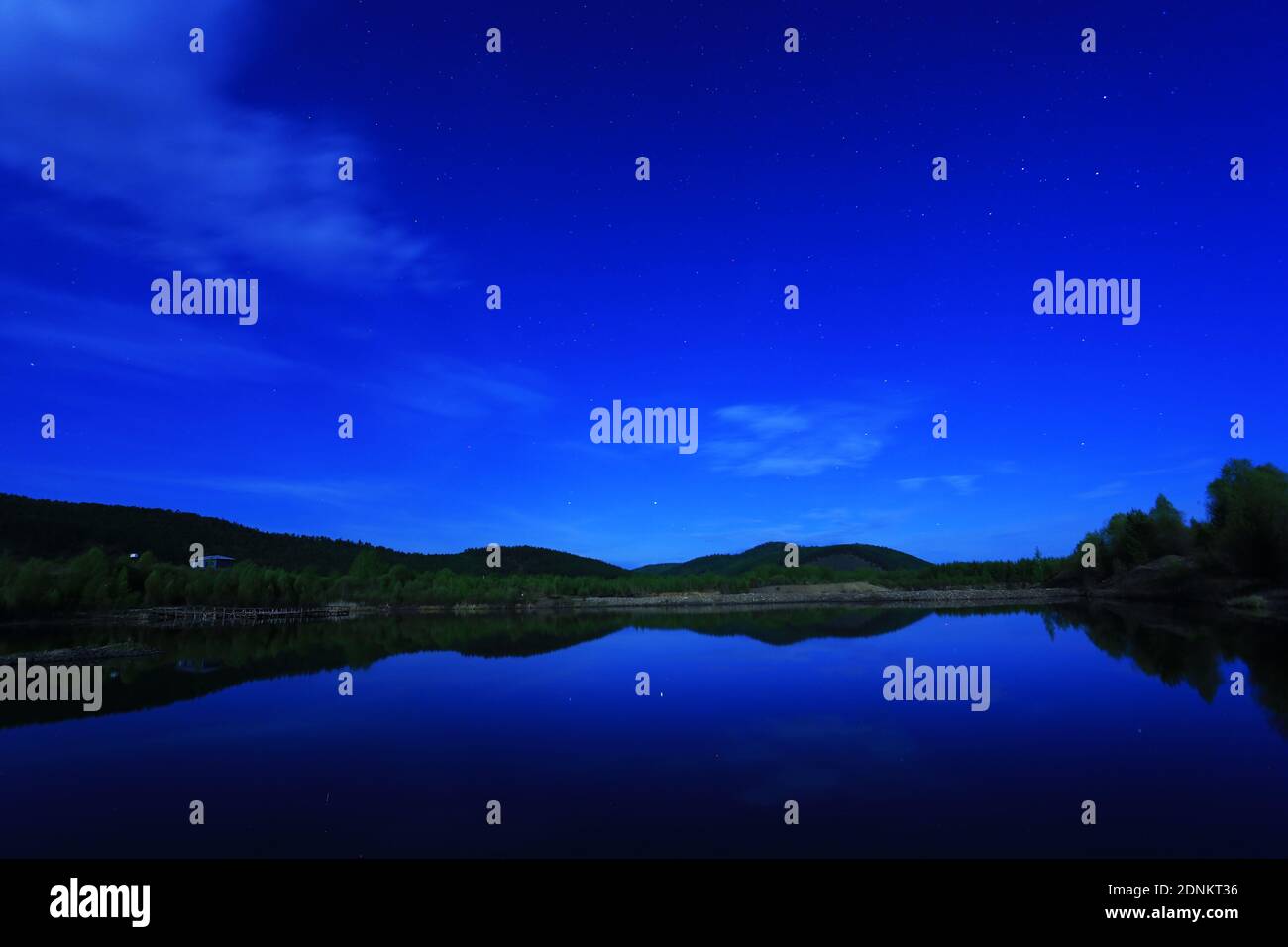 Lake Forest Night