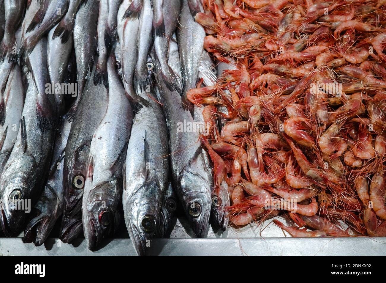 Jurel fish hi-res stock photography and images - Alamy