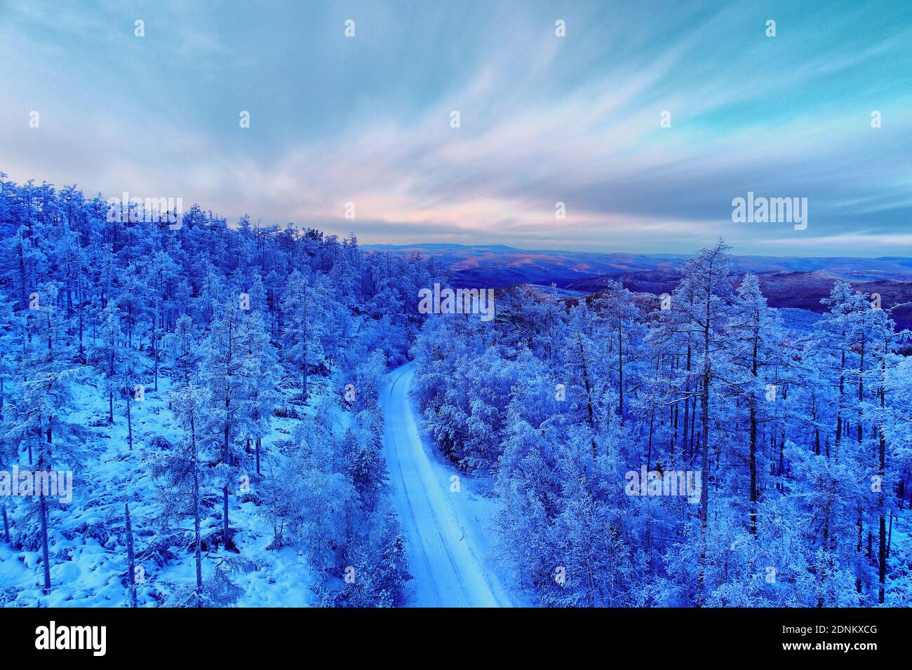 Silver Forest High Resolution Stock Photography and Images - Alamy