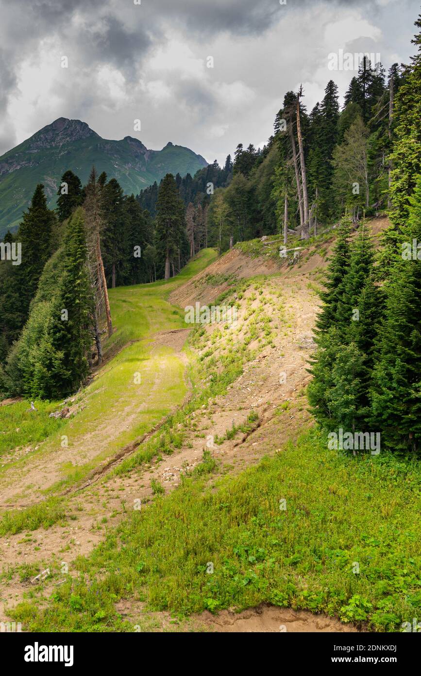 Steep Slope Road Side High Resolution Stock Photography and Images - Alamy