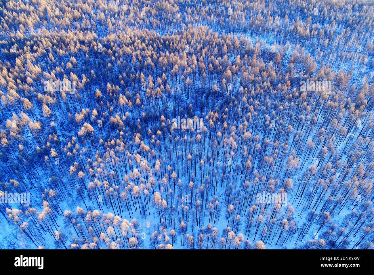 Aerial beautiful snow mangroves Stock Photo - Alamy