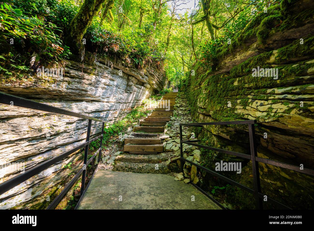 Stone stairs in mysterious forest. Walk path trail for hiking tours ...